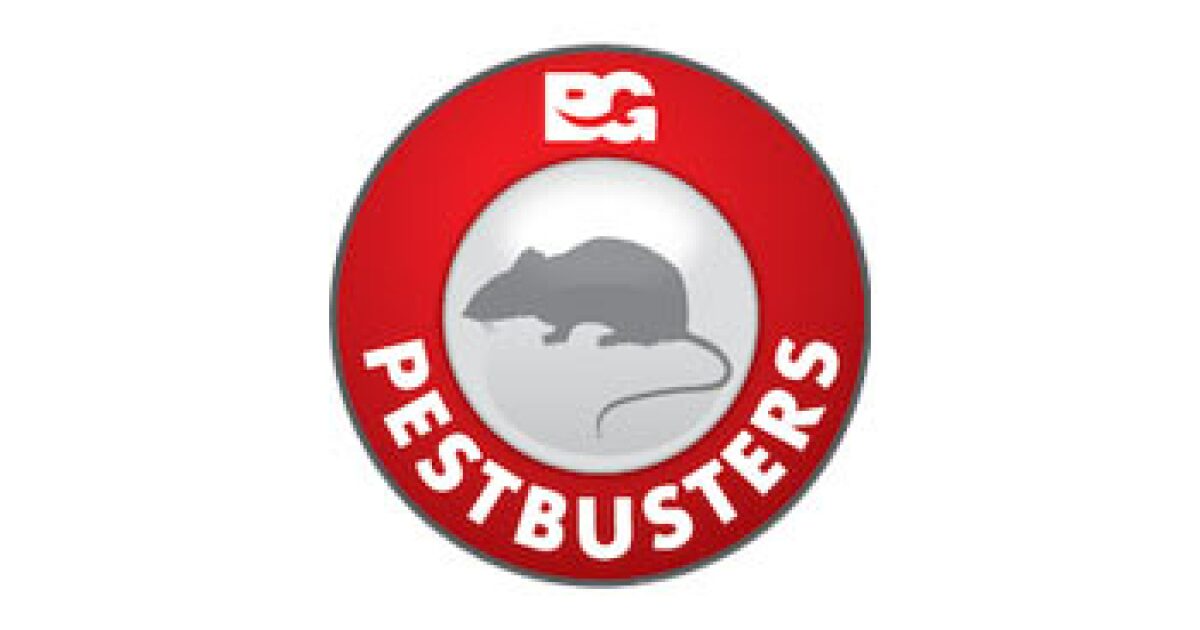 Start a Pestbusters Franchise Business, Pestbusters Franchise ...