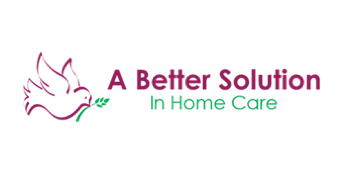 Start A Better Solution Home Care Franchise