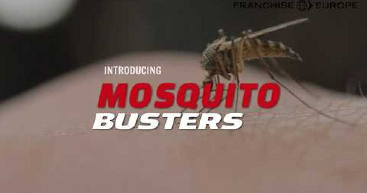 An Introduction to the Mosquito Busters Franchise | FranchiseEurope.com