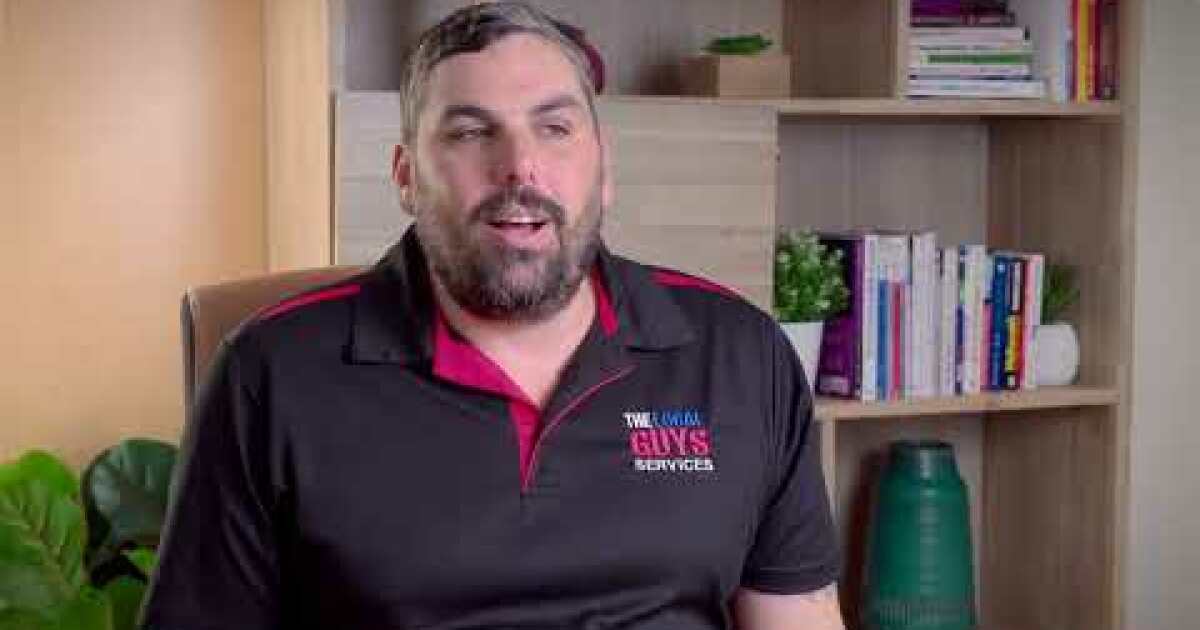 The Local Guys | How Did You Find The Experience - The Best Franchise ...