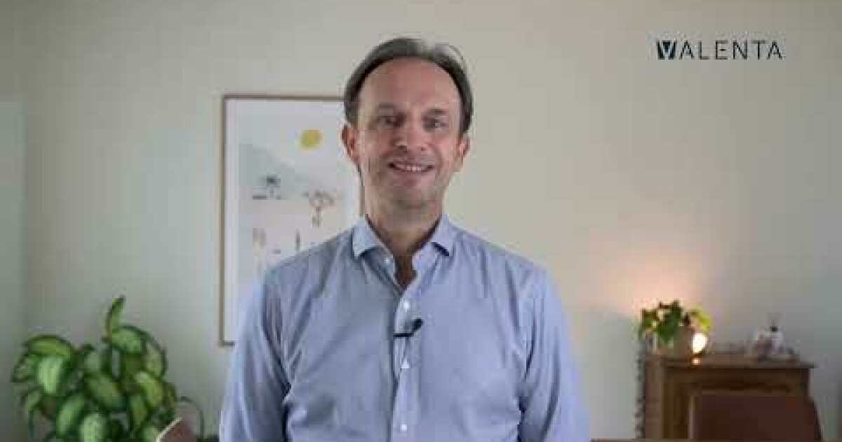 Why Choose a Valenta AI Franchise in Europe?