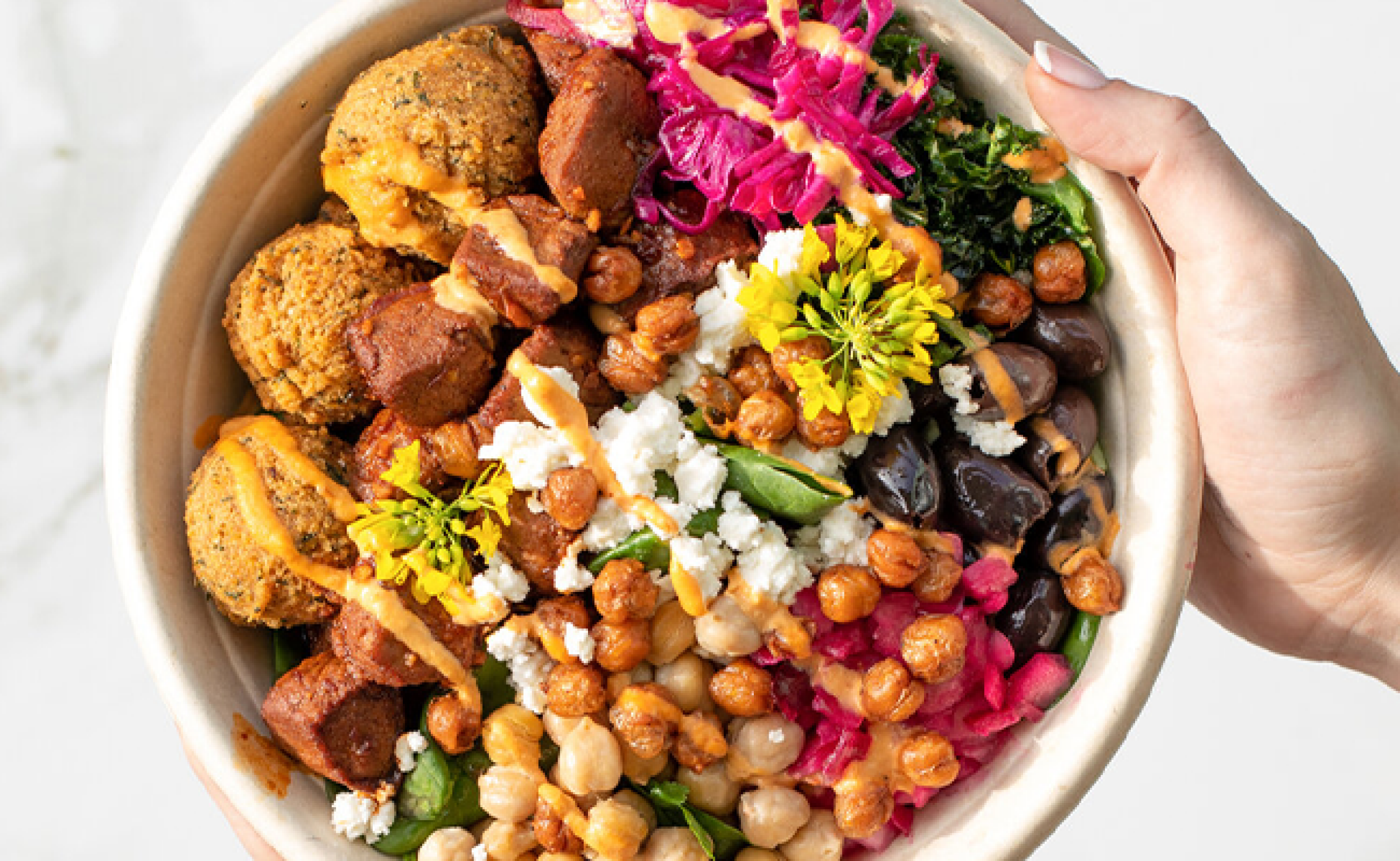 Hummus Republic Franchise Opportunity for Sale| Franchise Direct