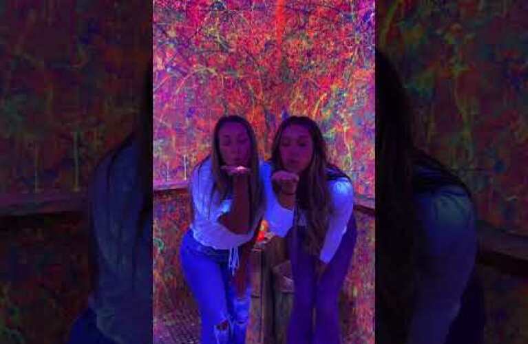 Start an iSMASH Franchise For Sale | Franchise Direct