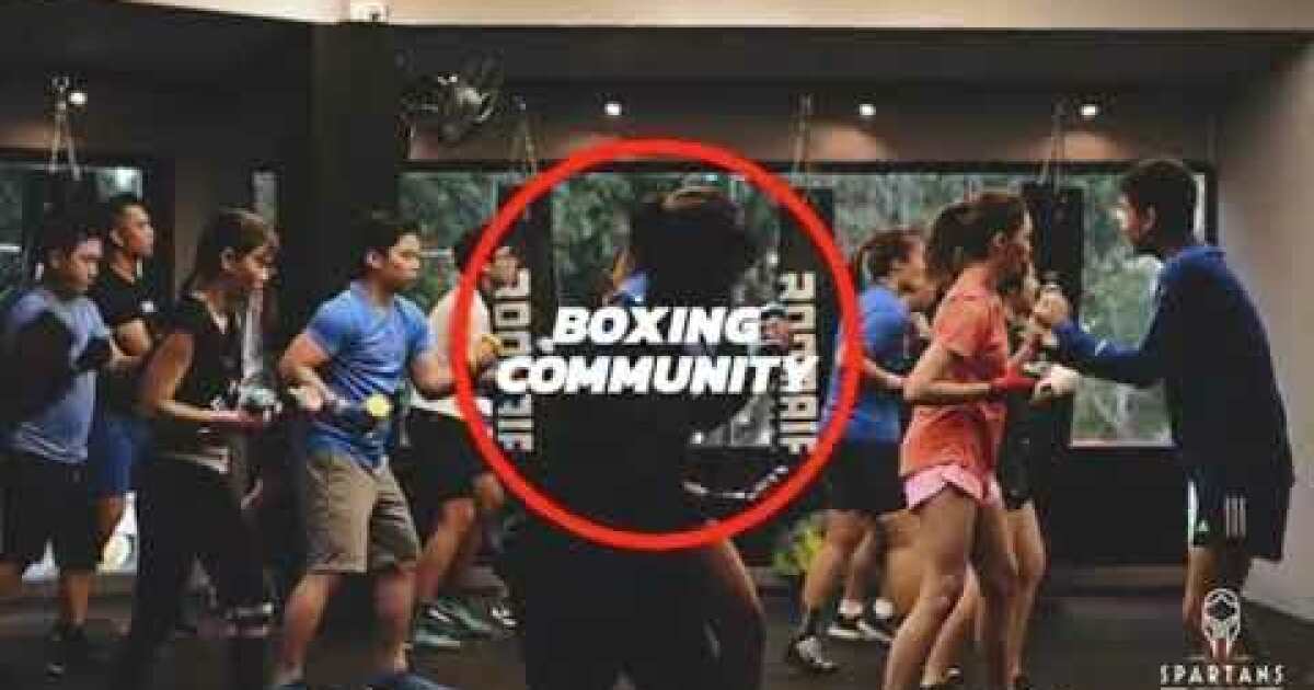 Spartans Boxing Club - The Best Franchise Opportunities & Franchises ...