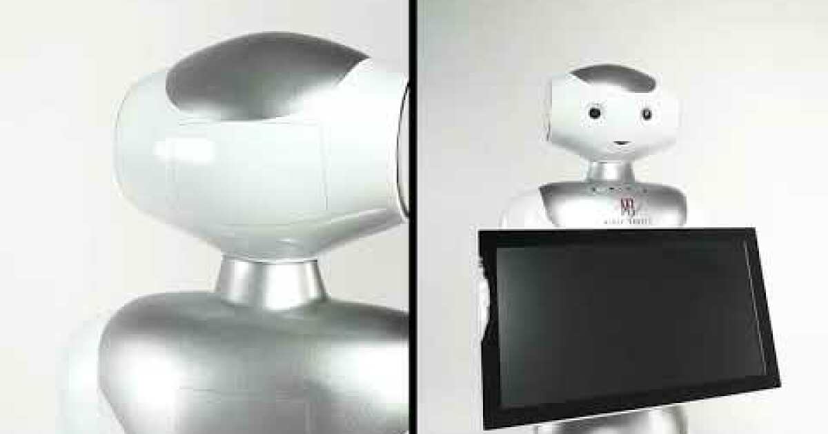 Mirax Robots - Lex | Franchise Direct UK