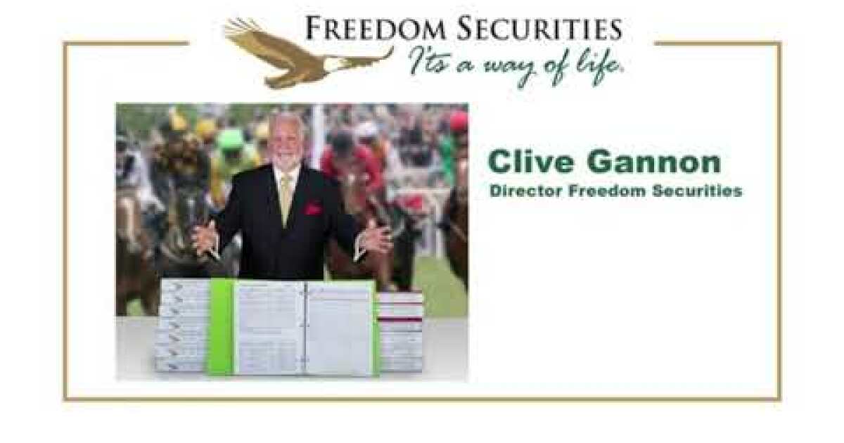 Freedom Security - How it Works - The Best Franchise Opportunities ...