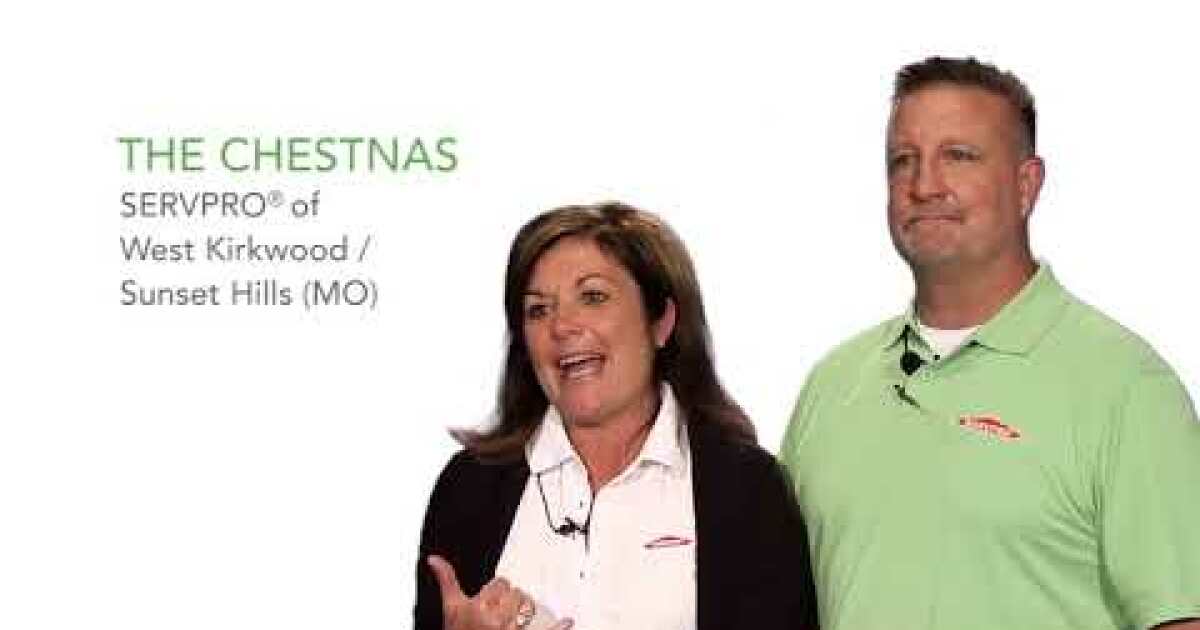SERVPRO: Franchisee Testimonials | Franchise Direct - The Best ...