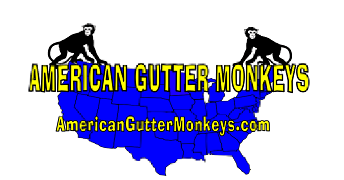 Start an American Gutter Monkeys Franchise, American Gutter Monkeys ...