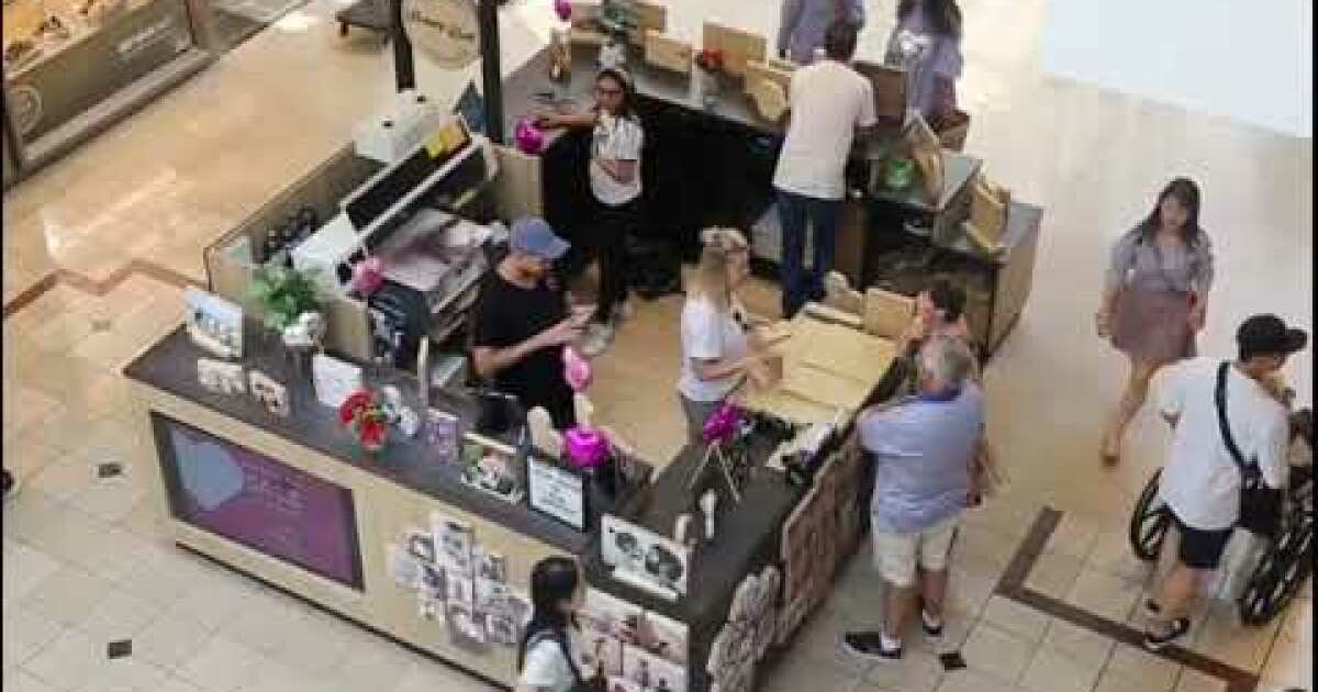 Memory Block Franchise Video