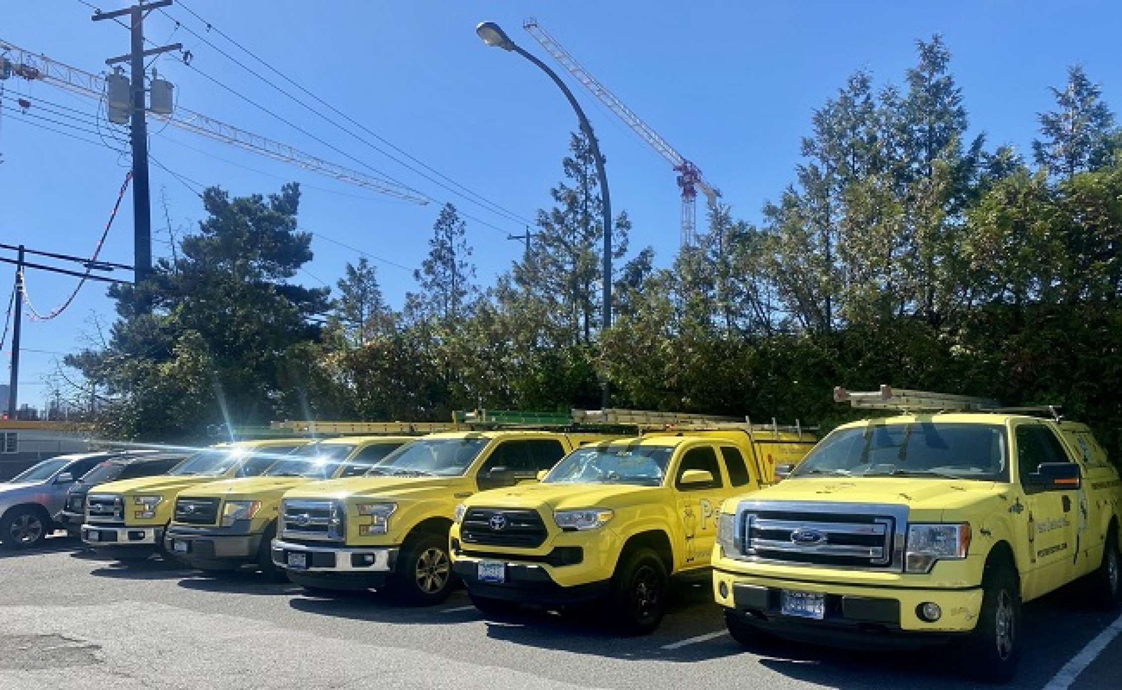 Pest Detective Franchise For Sale | Franchise Direct