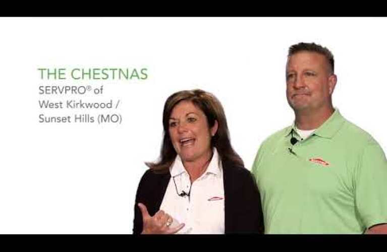 SERVPRO Franchise Opportunity for Sale