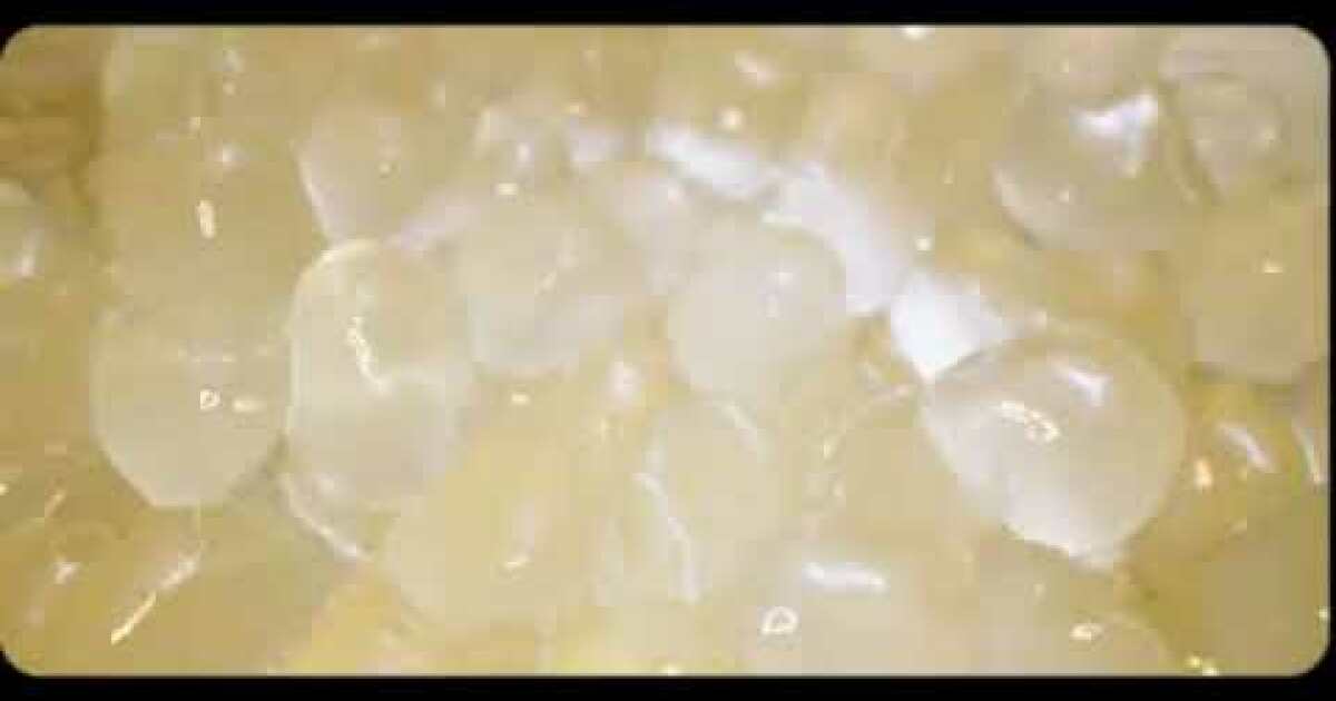 Presotea 15th Anniversary Video - Brown Sugar Panda Milk Tea ...